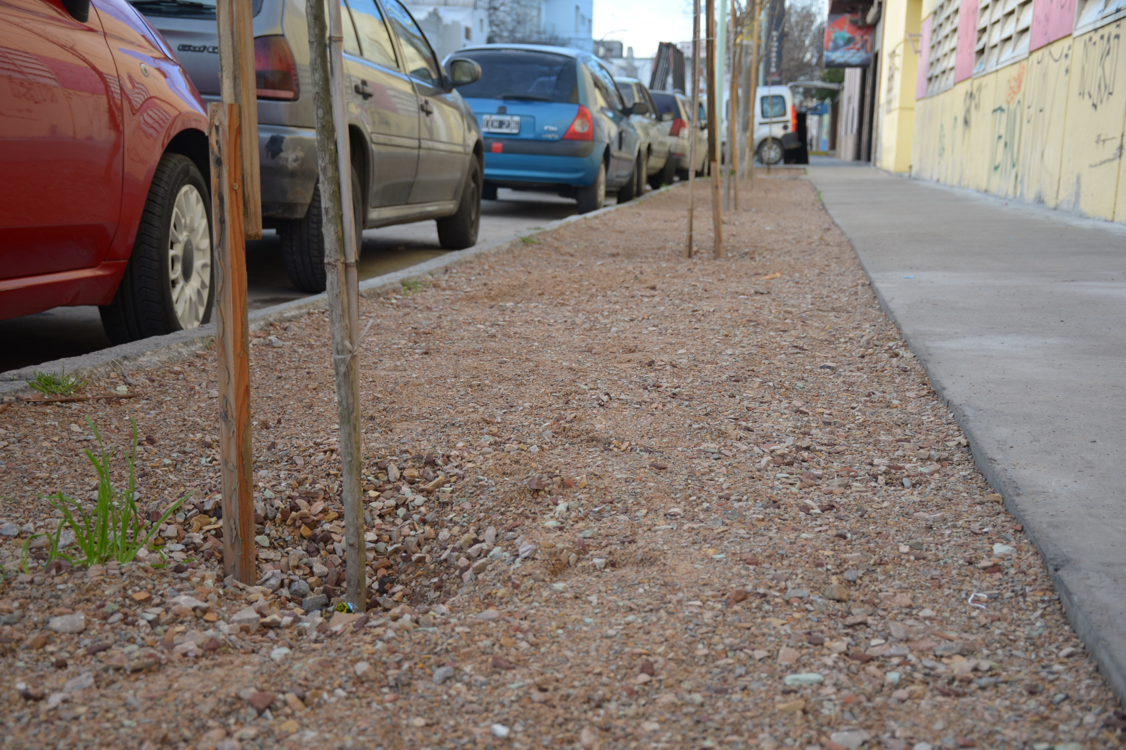 Buenas prácticas para el manejo del arbolado urbano | Municipalidad del ...
